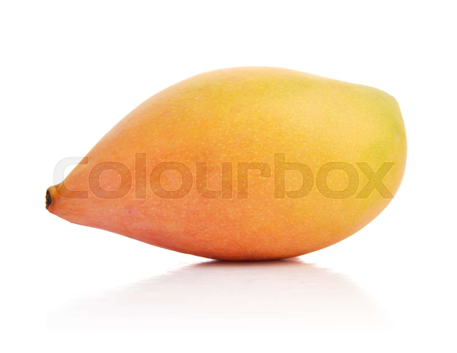 Ripe mango fruit | Stock image | Colourbox