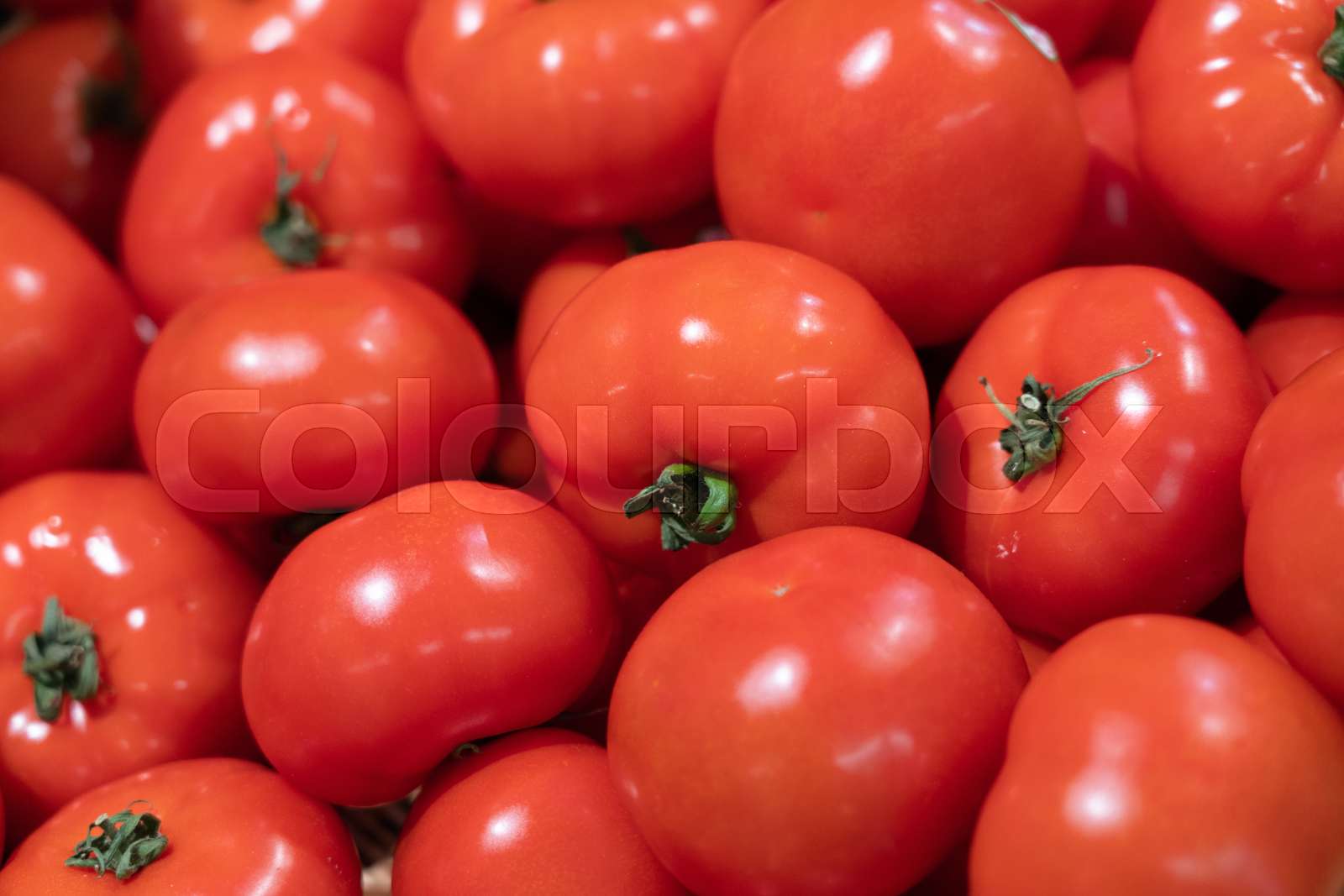 background of red tomatoes | Stock image | Colourbox