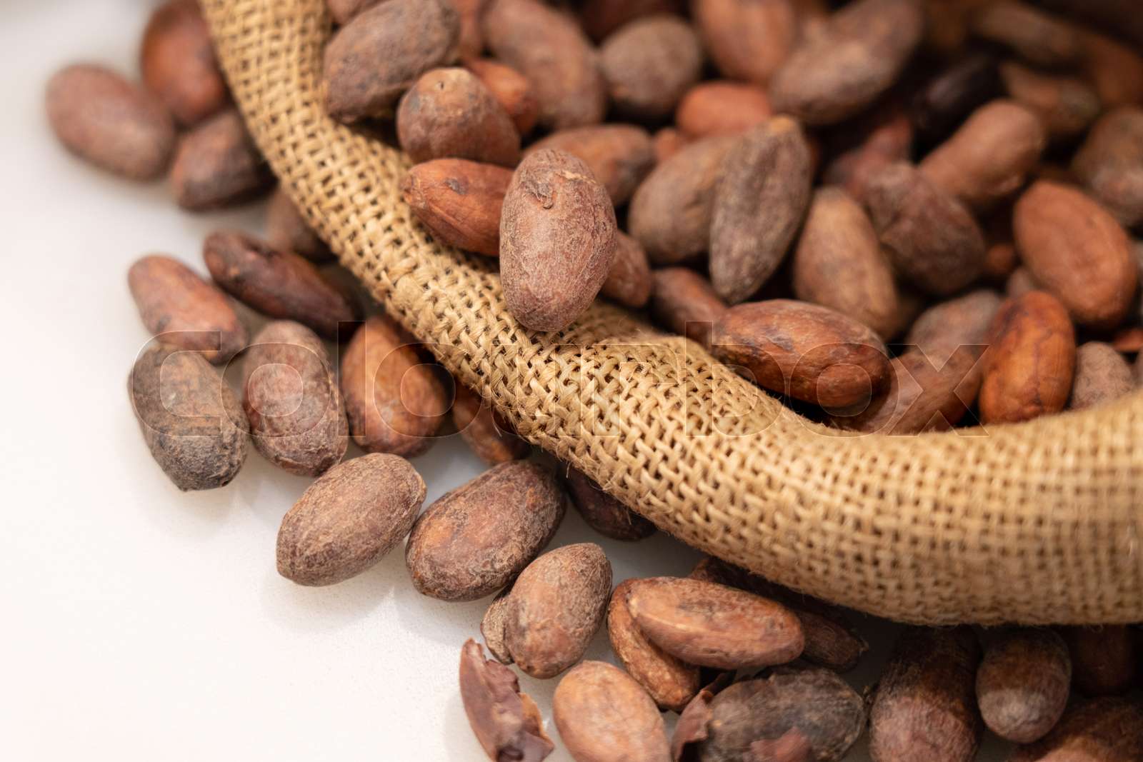 raw cocoa beans in a burlap sack | Stock image | Colourbox
