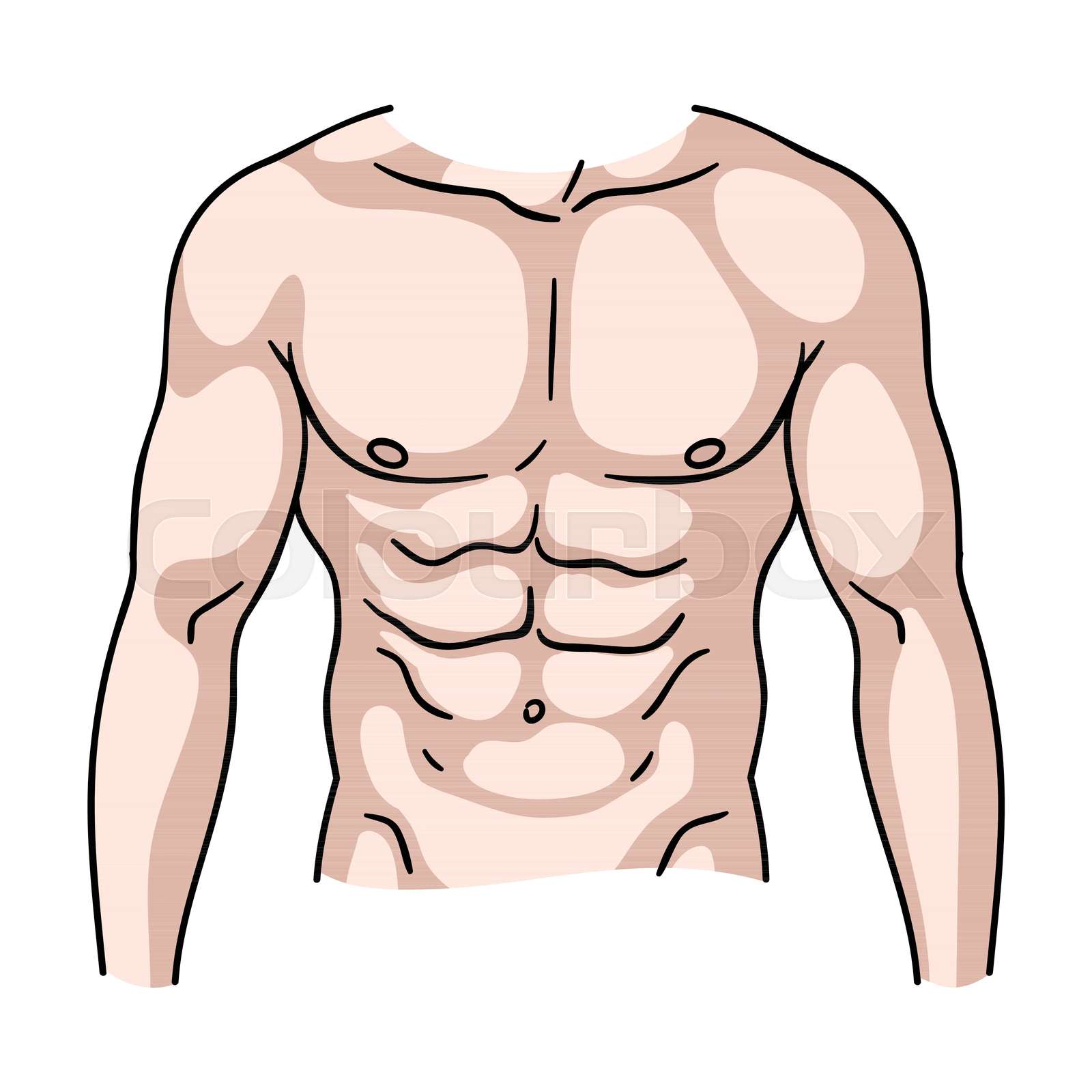 Muscular torso icon in cartoon style isolated on white background ...