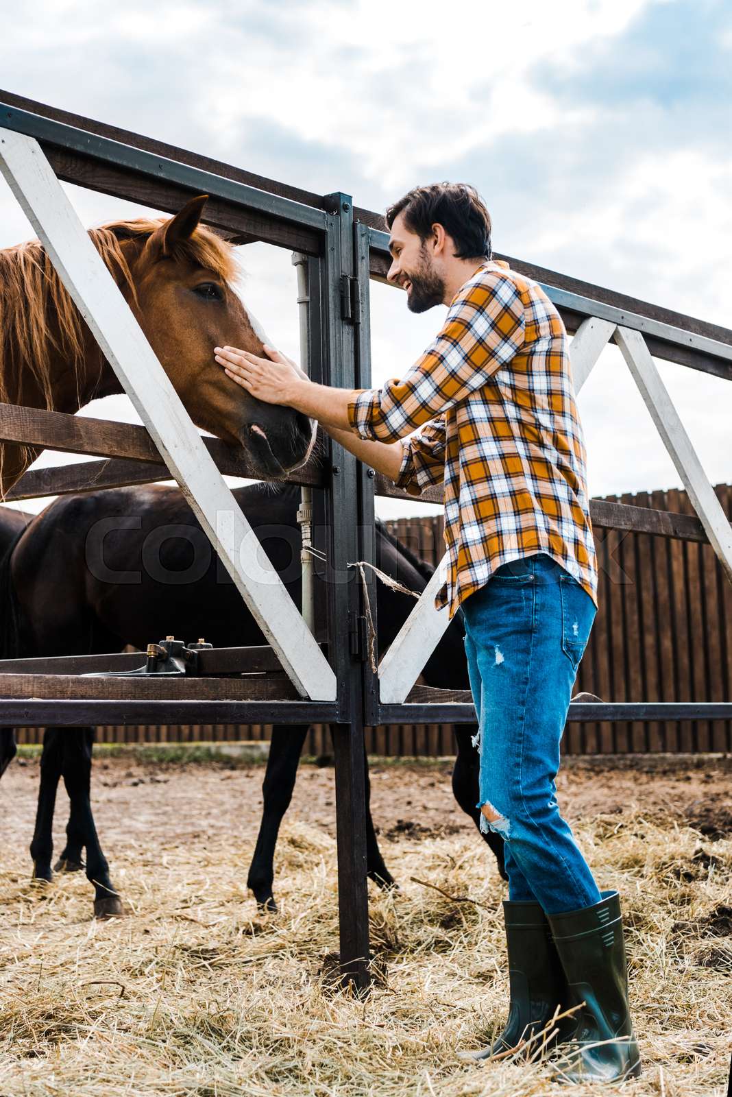 side view of handsome smiling farmer palming horse in stable | Stock image | Colourbox
