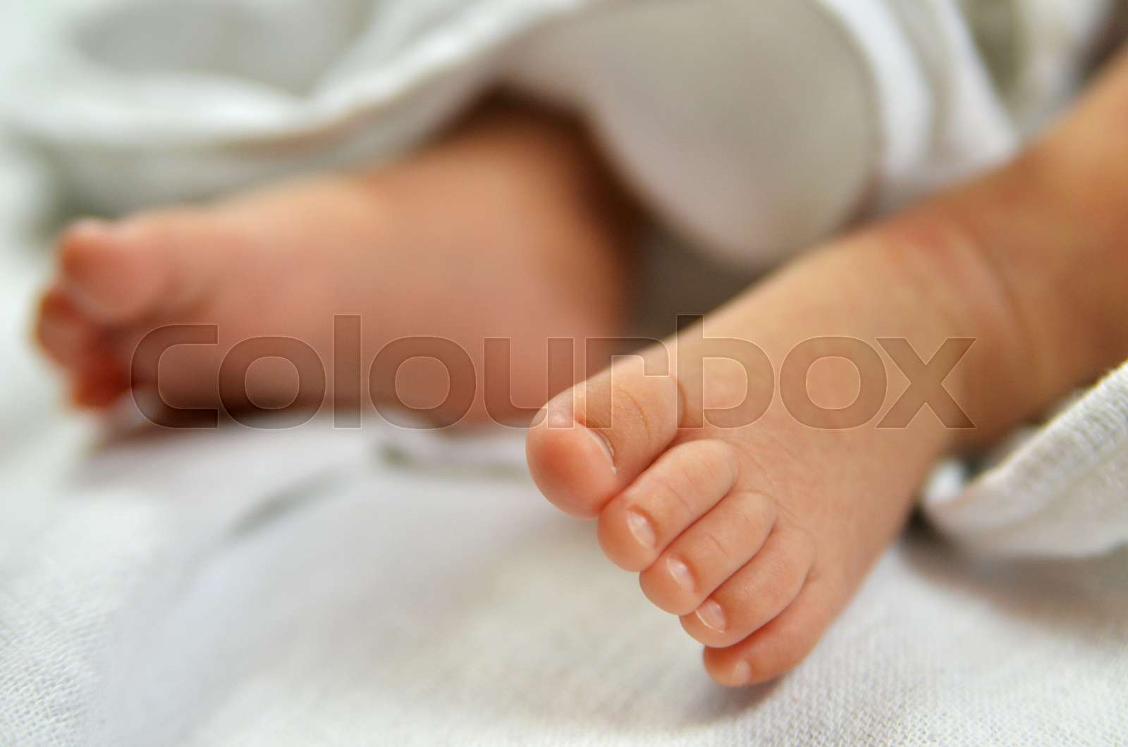 Cute baby feet | Stock image | Colourbox