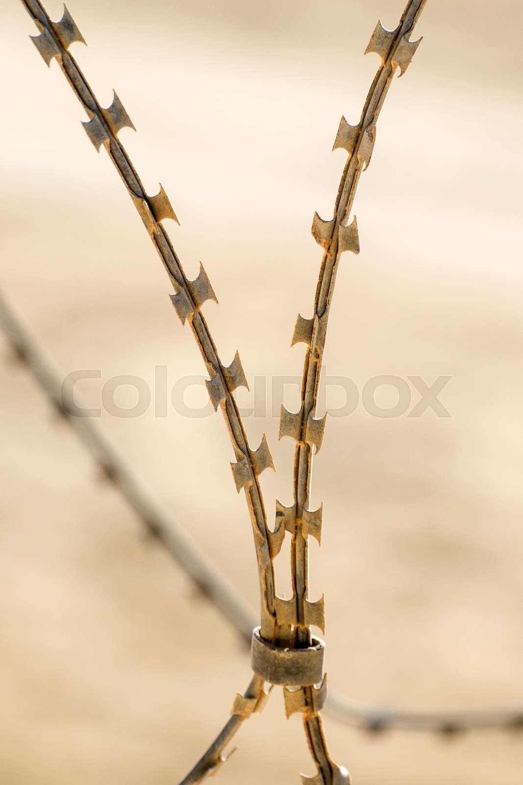Two bars of barbed wire united by a ring | Stock image | Colourbox