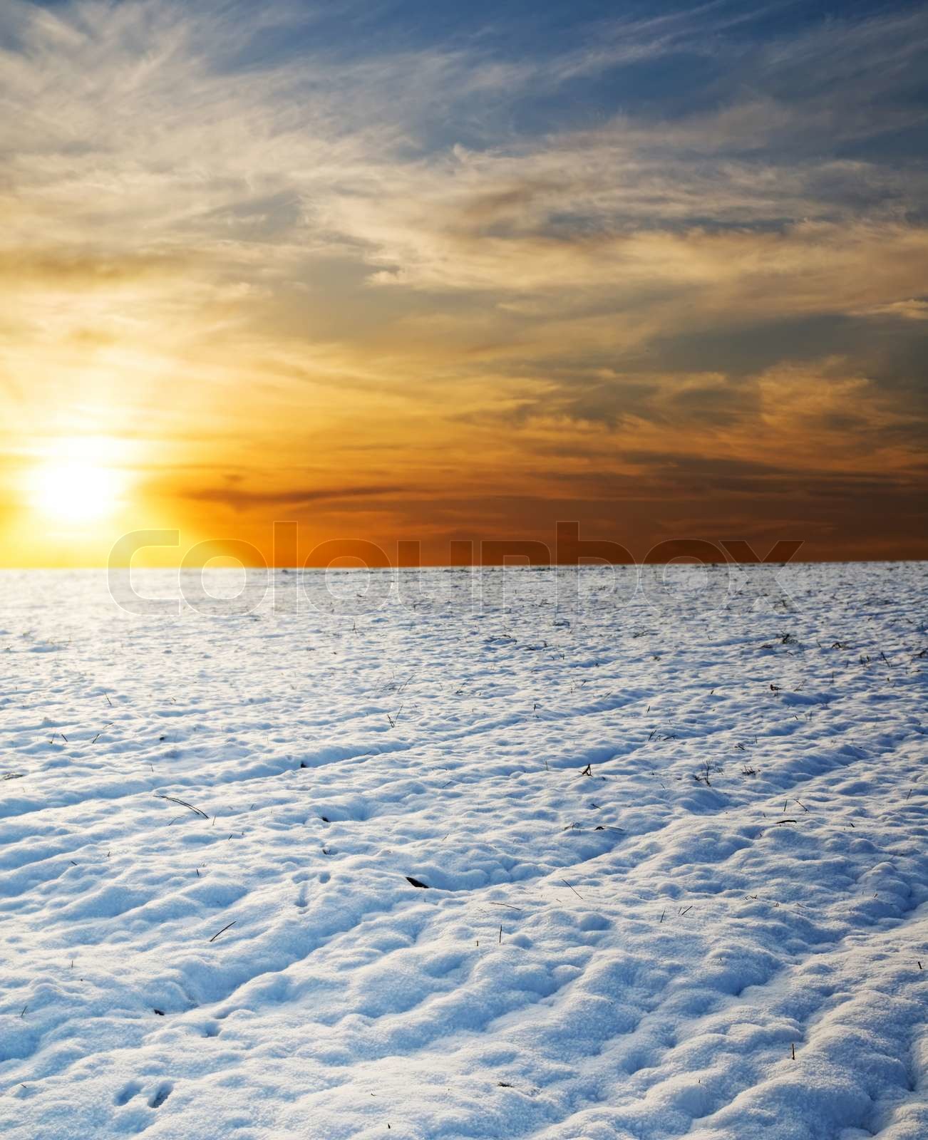 sunset over field under snow | Stock image | Colourbox