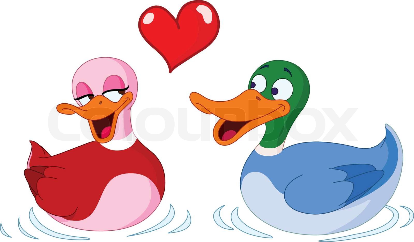 In love ducks | Stock vector | Colourbox