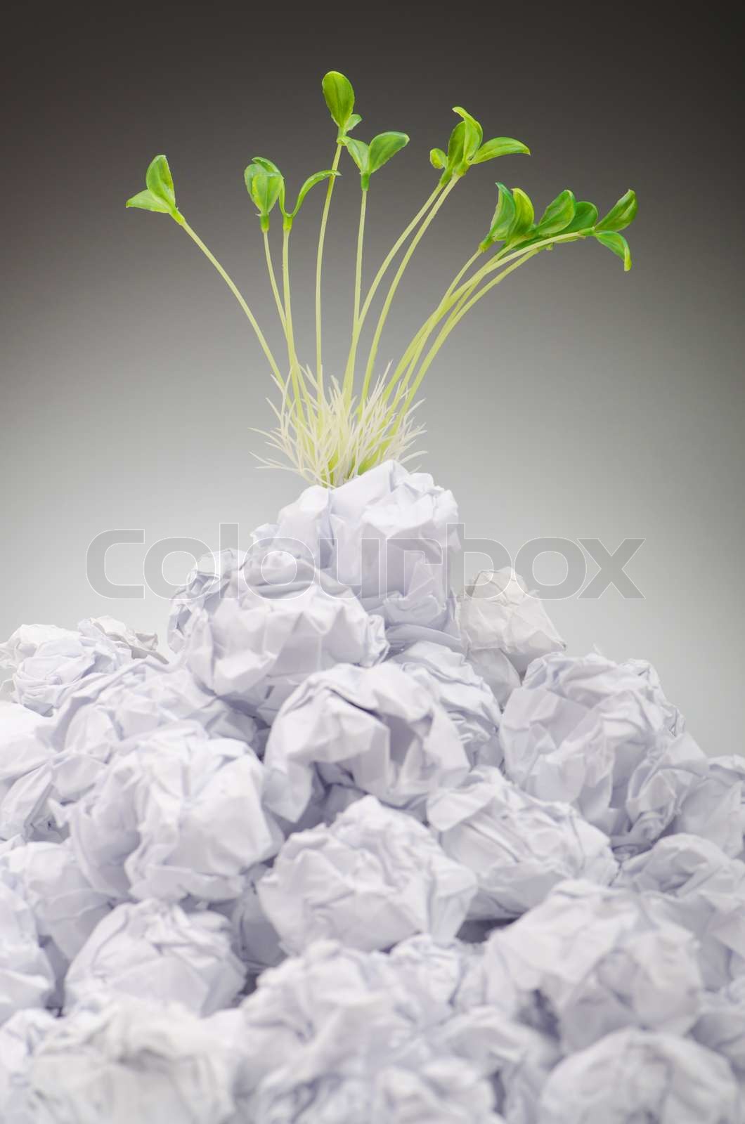 Green seedlings growing out of paper | Stock image | Colourbox