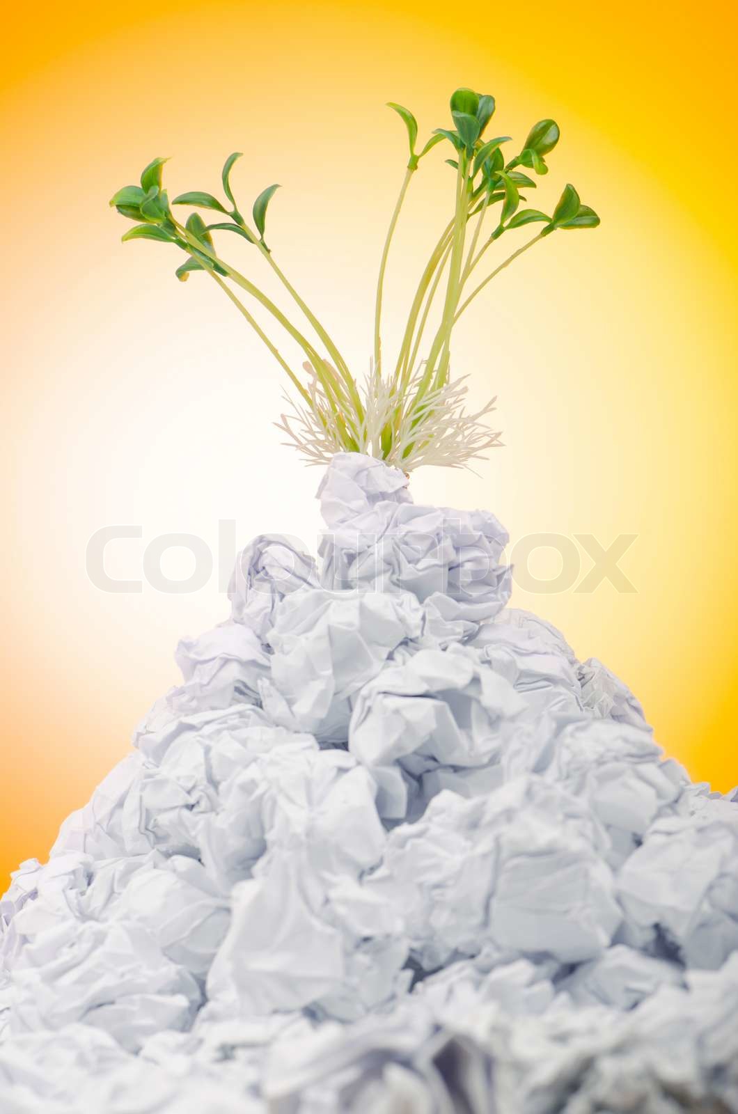 Green seedlings growing out of paper | Stock image | Colourbox