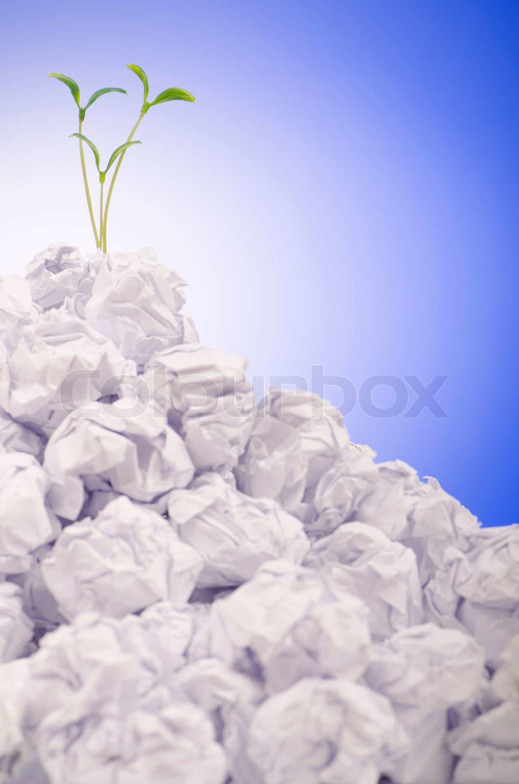 Green seedlings growing out of paper | Stock image | Colourbox