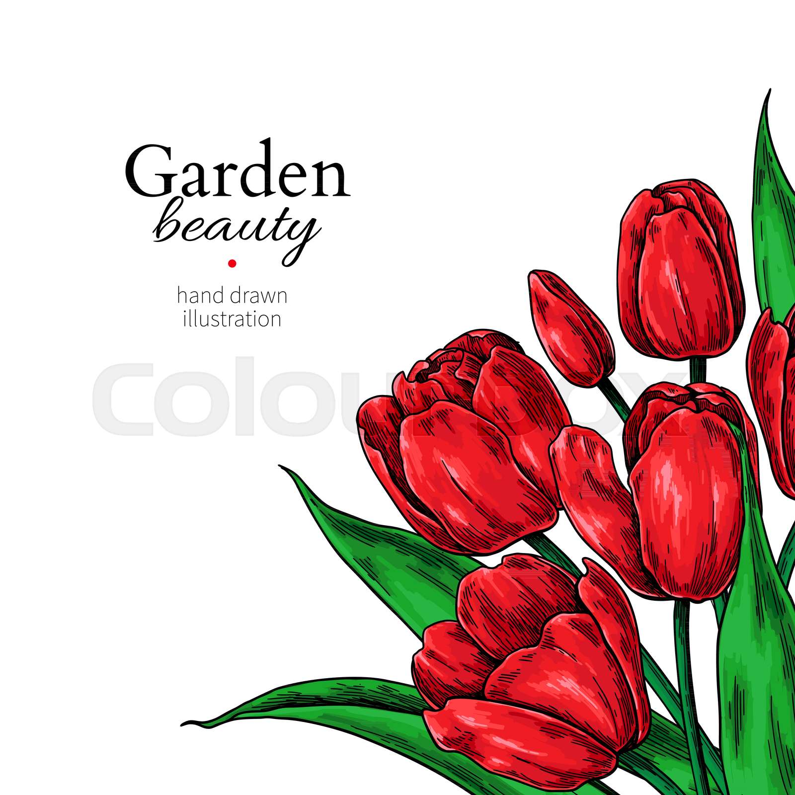 Tulip flower and leaves drawing border. Vector hand drawn floral frame ...