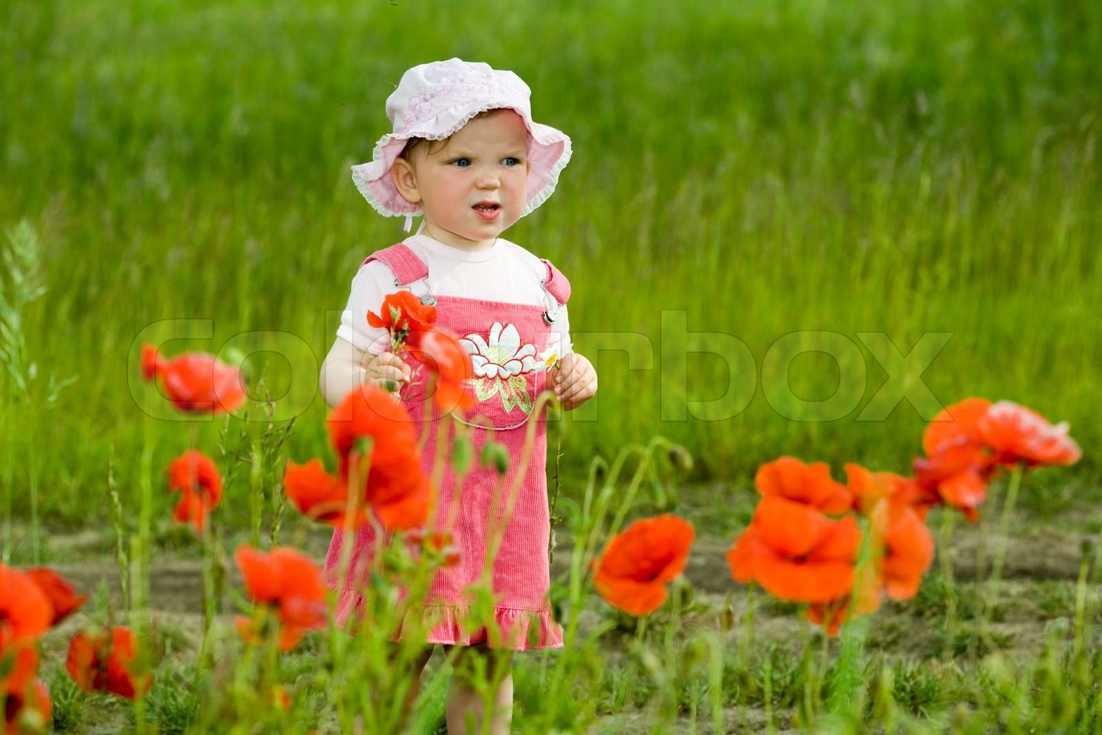An image of baby amongst field with flowers | Stock image | Colourbox