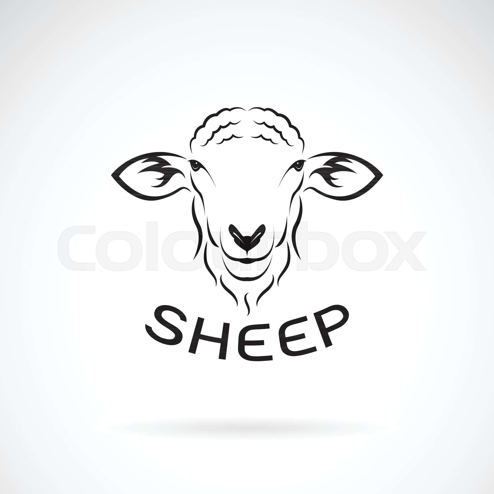 Vector of sheep head design on white background. Wild Animals. Easy ...