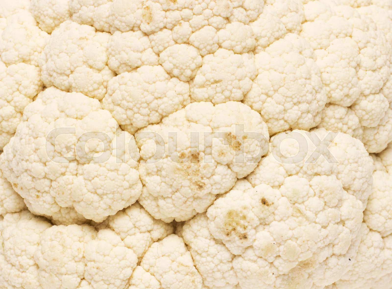 Fresh cauliflower texture | Stock image | Colourbox