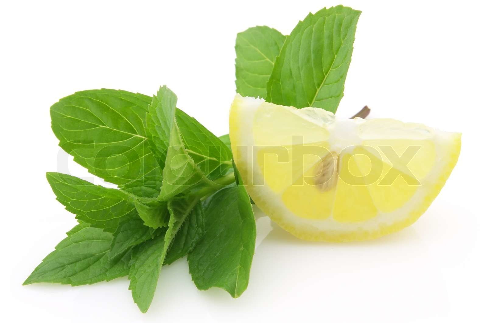 Peppermint with lemon | Stock image | Colourbox