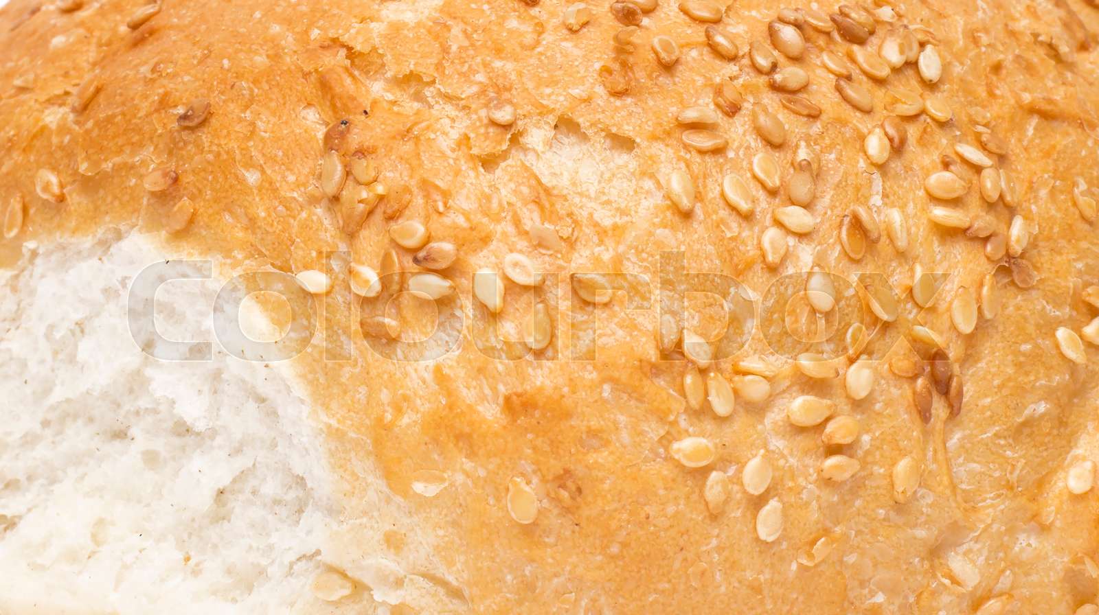 Hamburger bun texture | Stock image | Colourbox