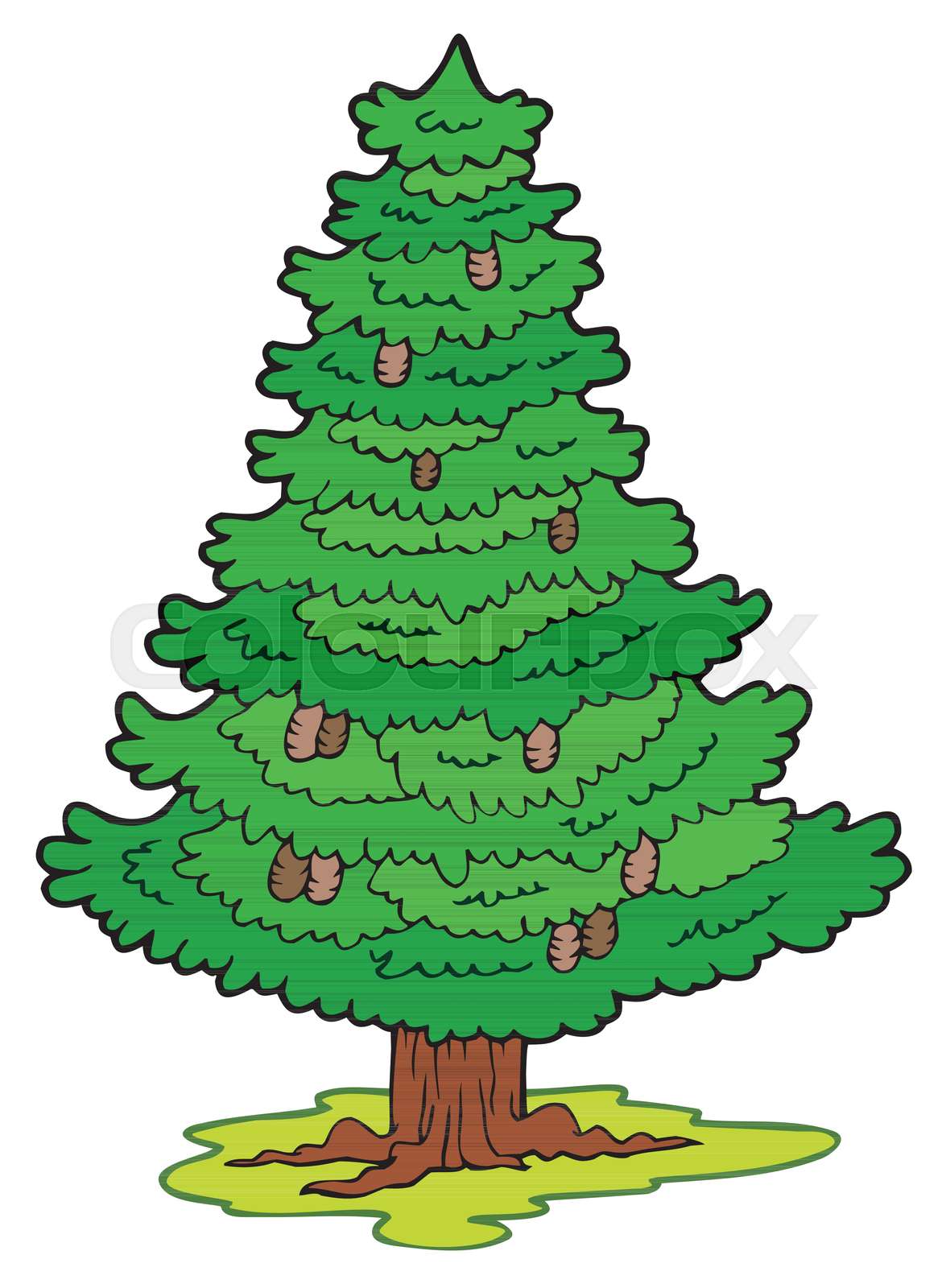 Cartoon coniferous tree | Stock vector | Colourbox