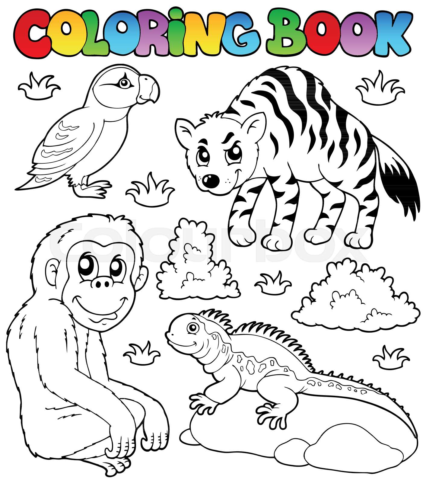 Coloring book zoo animals set 2 | Stock vector | Colourbox