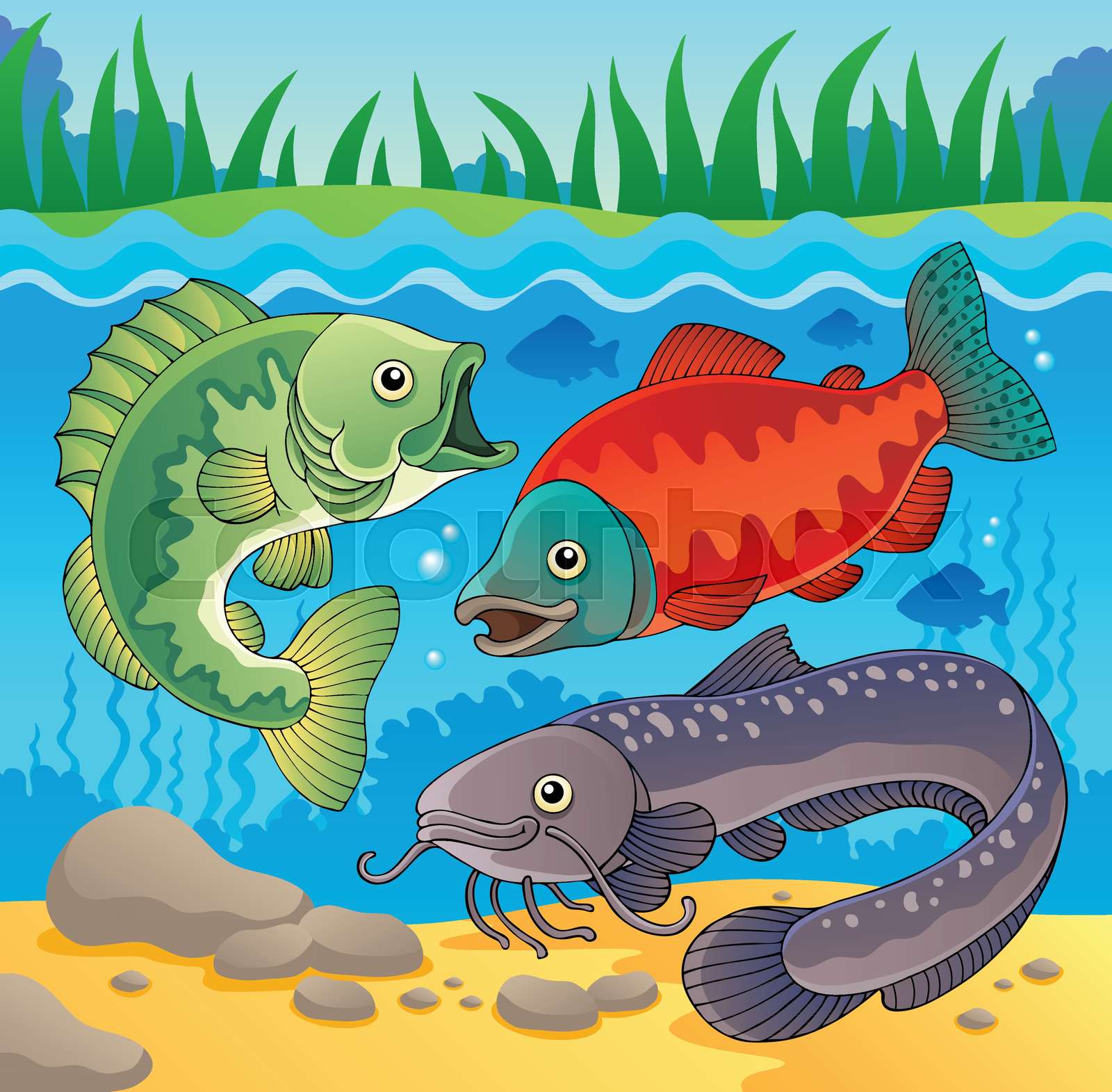 Freshwater fish theme image 3 | Stock vector | Colourbox
