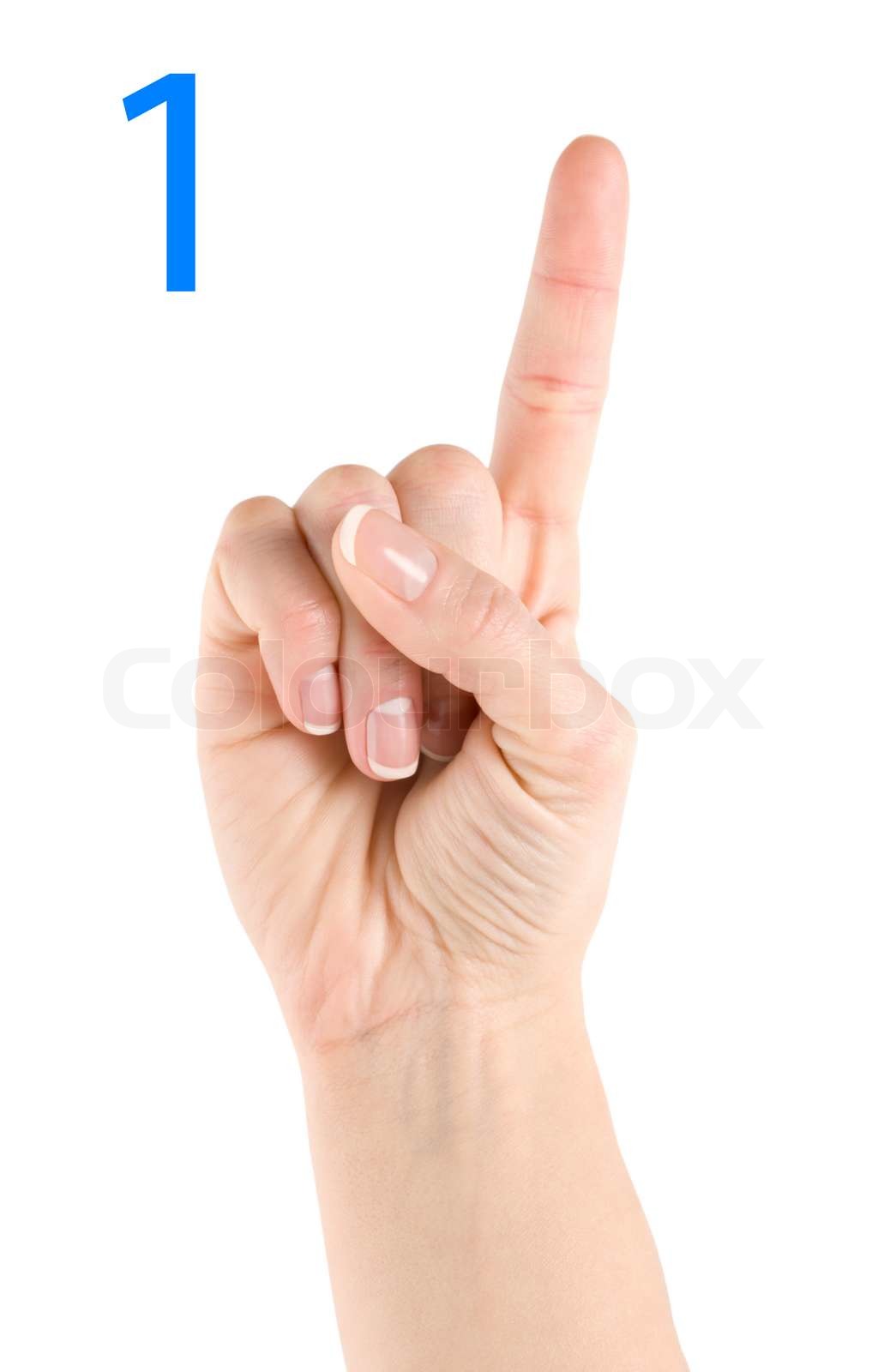 Hand showing number one isolated on a white background | Stock image ...