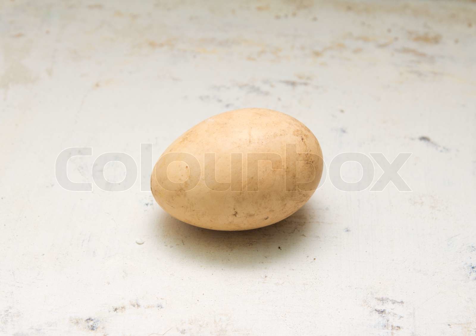 Egg verunreinigte mit Vogel Kot als Ursache von Salmonellose | Stock ...