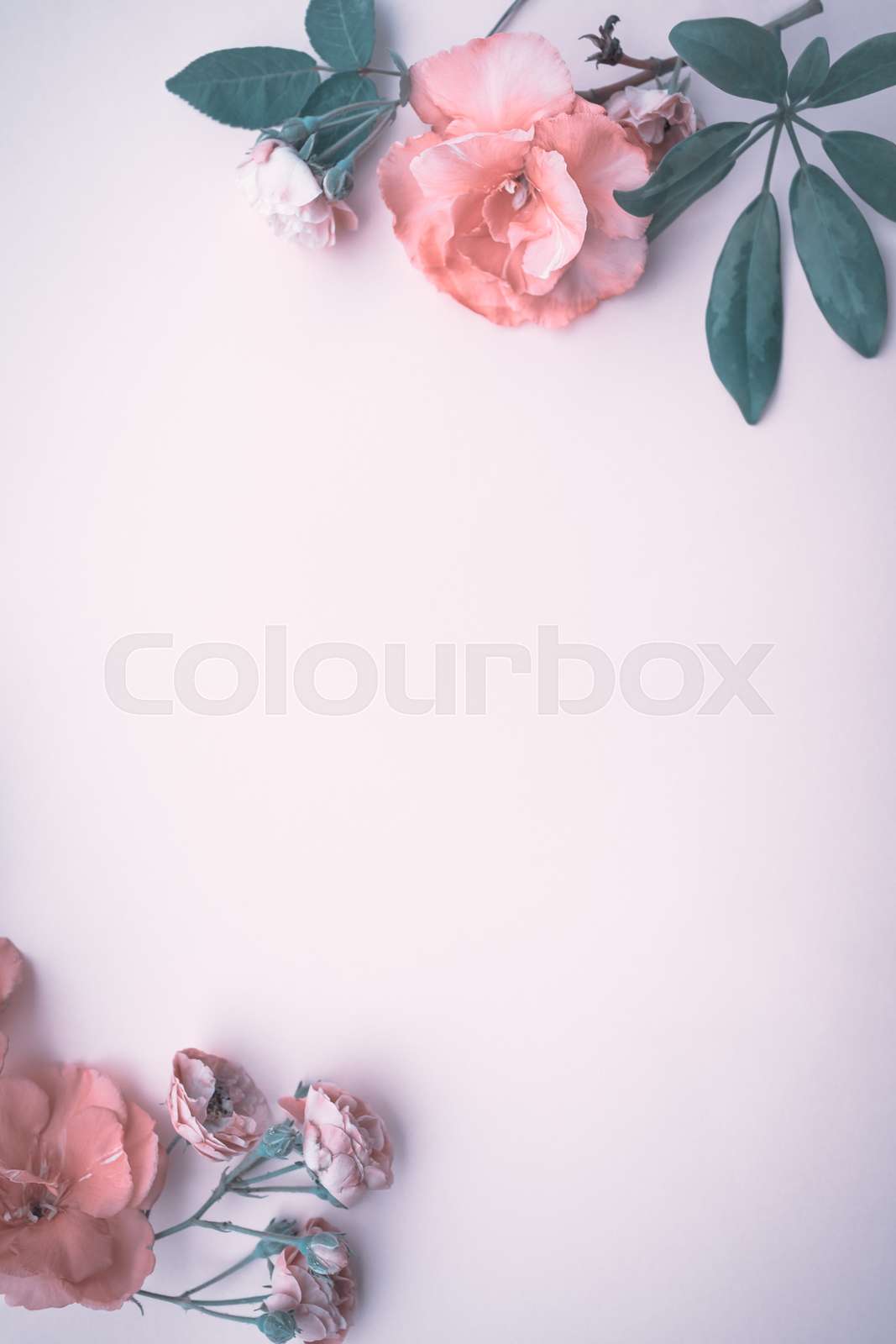Beautiful floral background border | Stock image | Colourbox