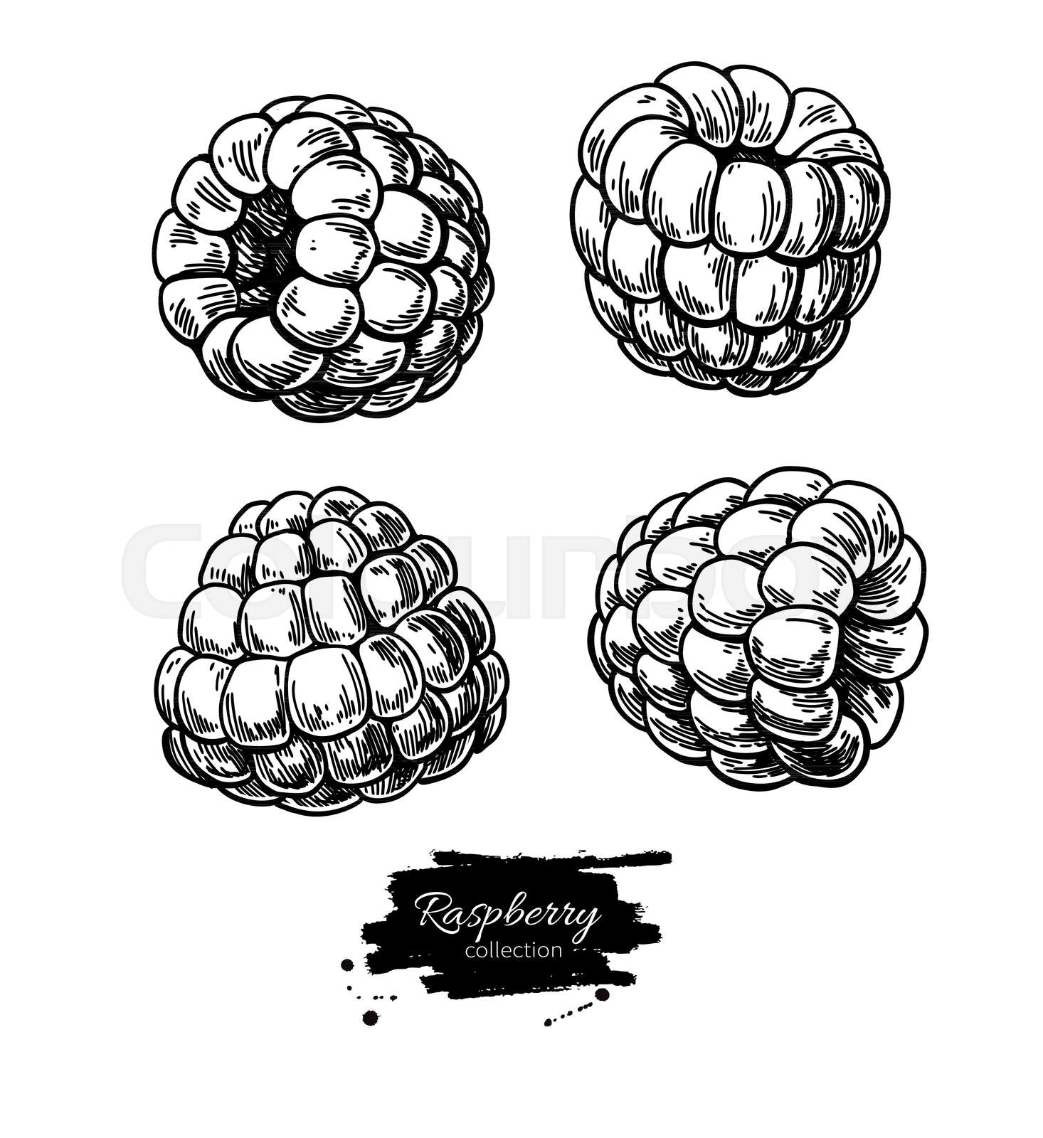 How To Draw A Raspberry