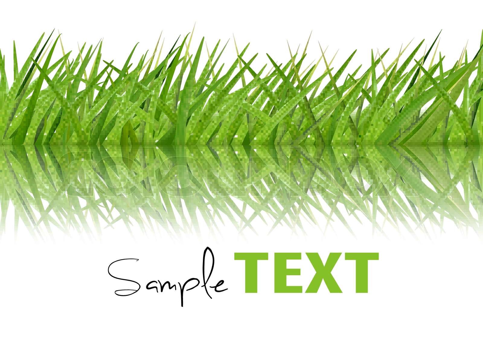Background with green grass. Vector. | Stock vector | Colourbox