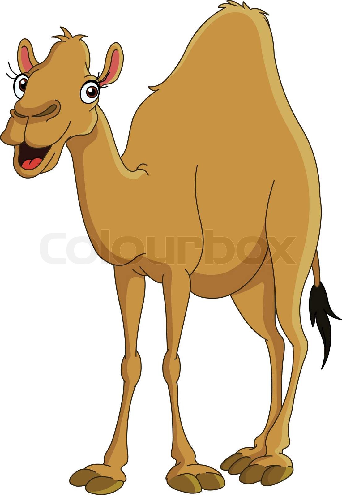 Smiley camel | Stock vector | Colourbox