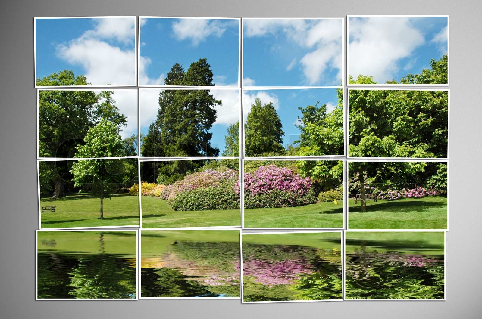Photo cut into pieces with nature concept | Stock image | Colourbox