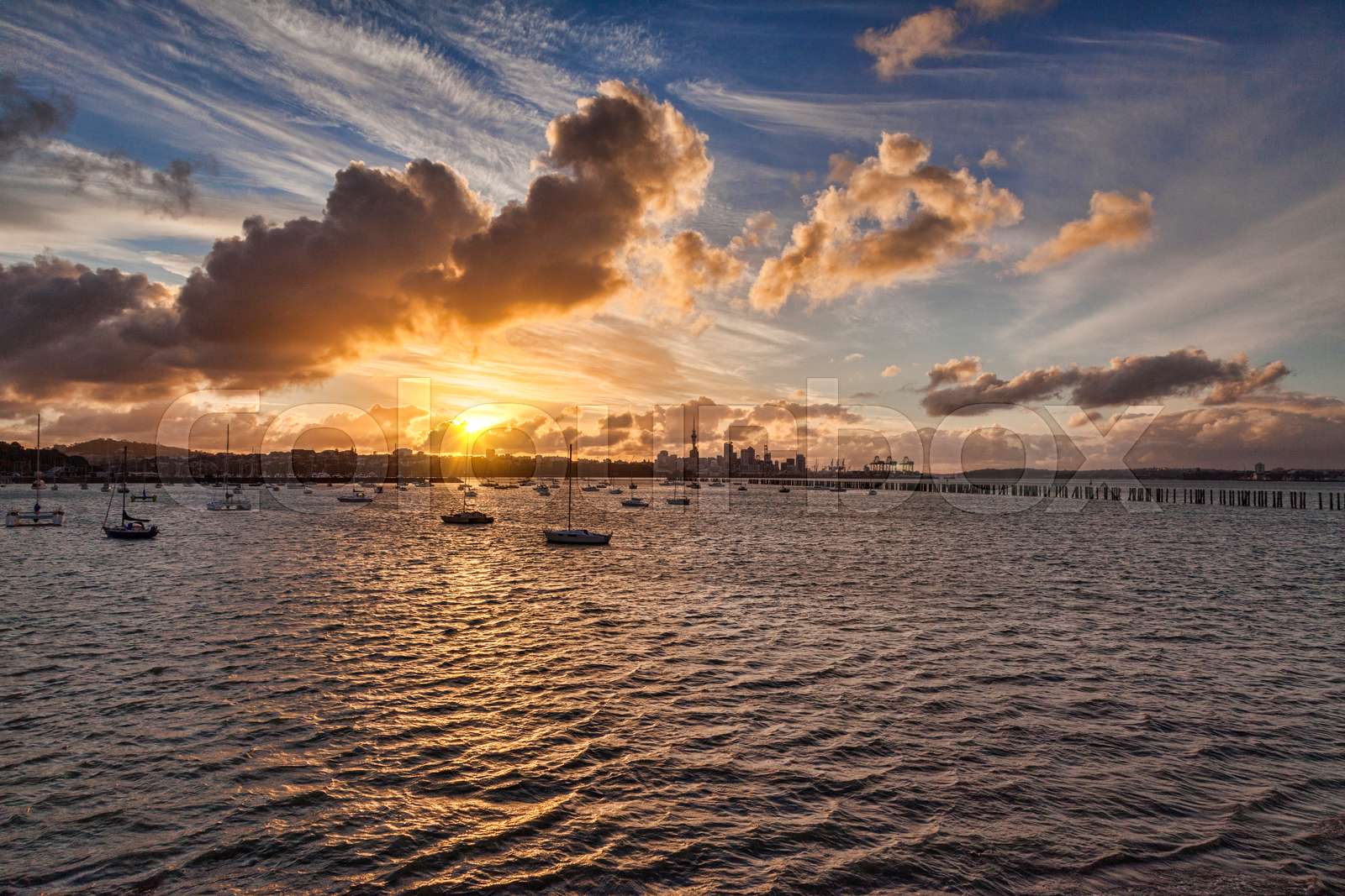 Auckland from Okahu Bay | Stock image | Colourbox