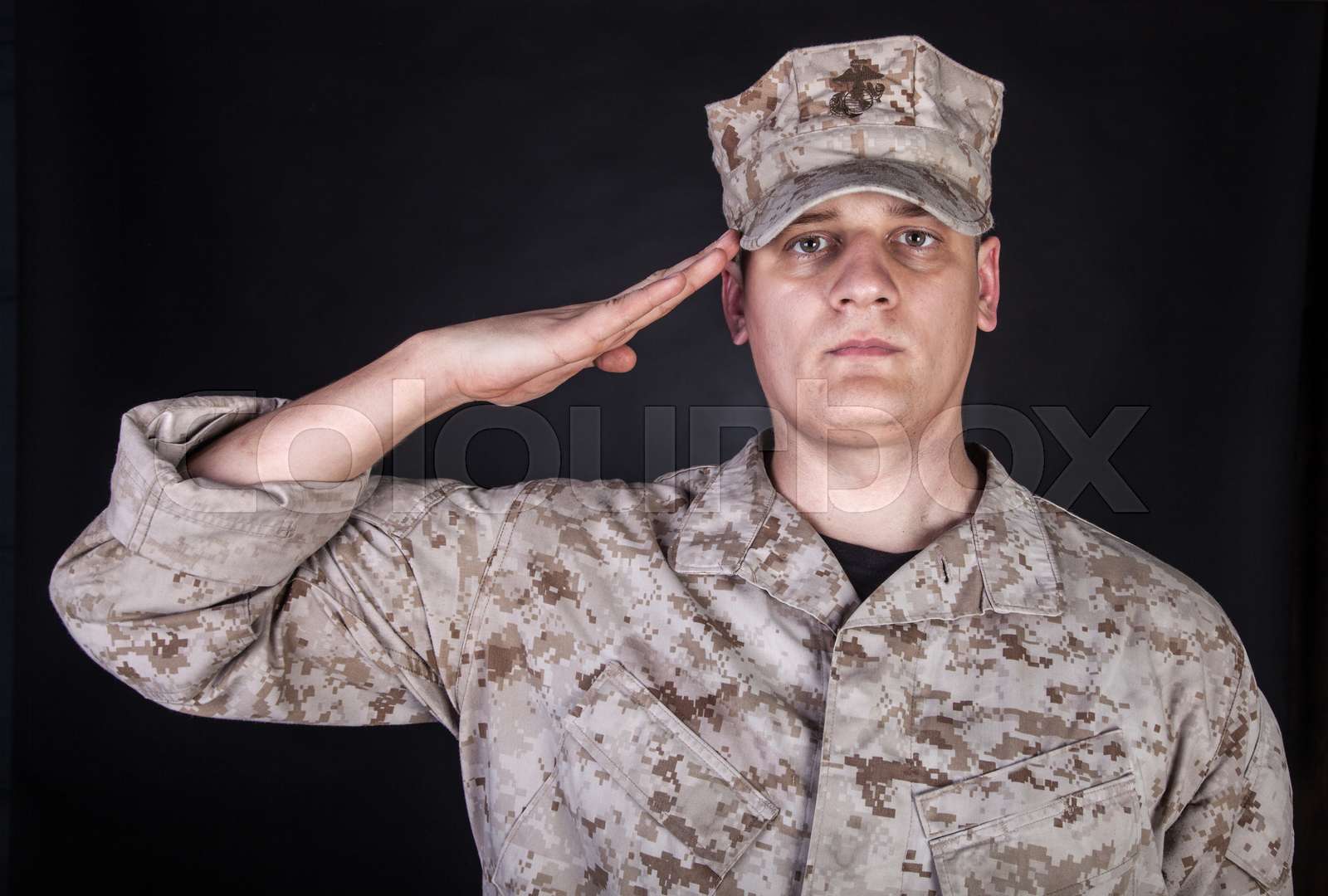 Portrait of marine saluting and looking at camera | Stock image | Colourbox