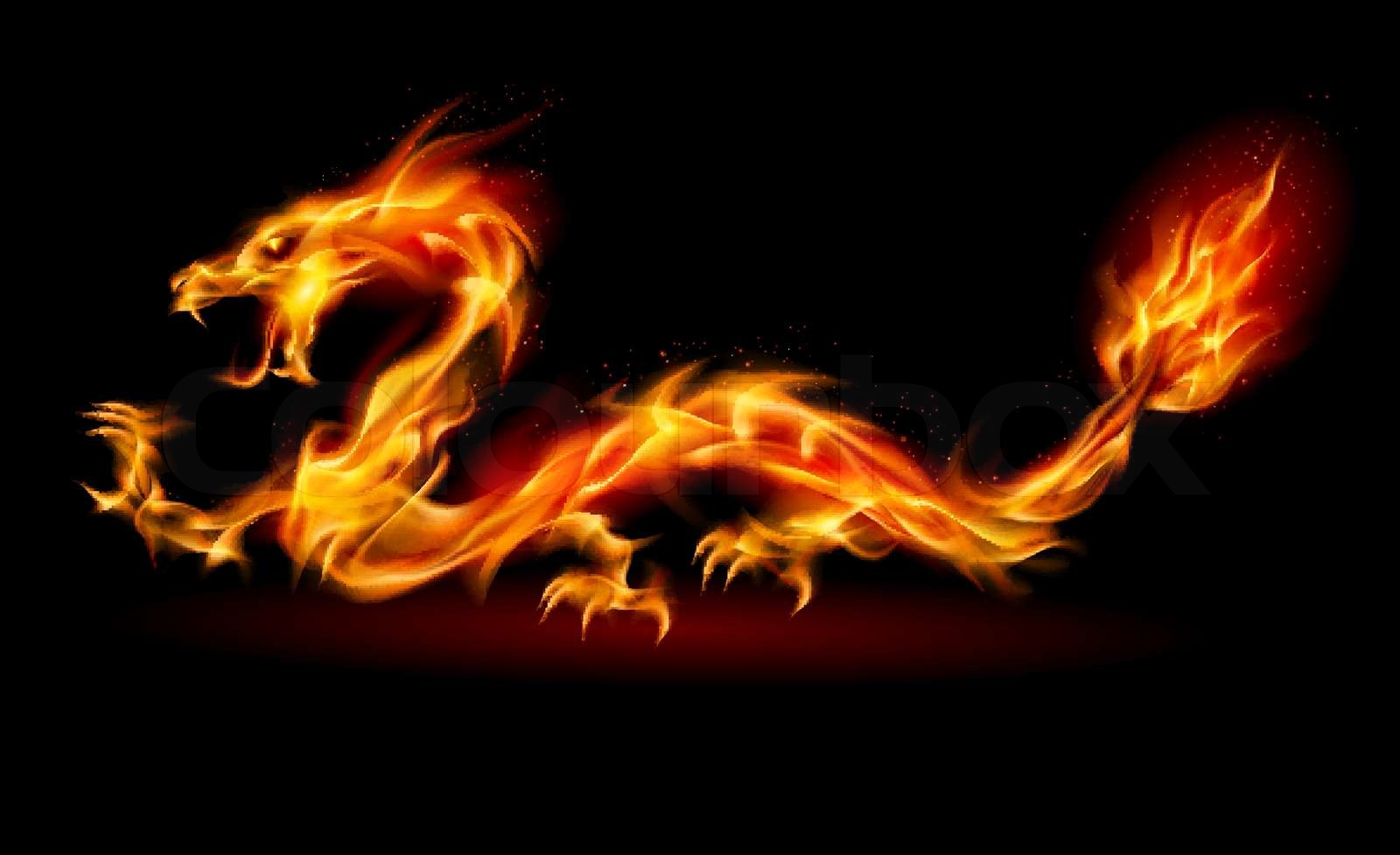 Fire Dragon | Stock vector | Colourbox