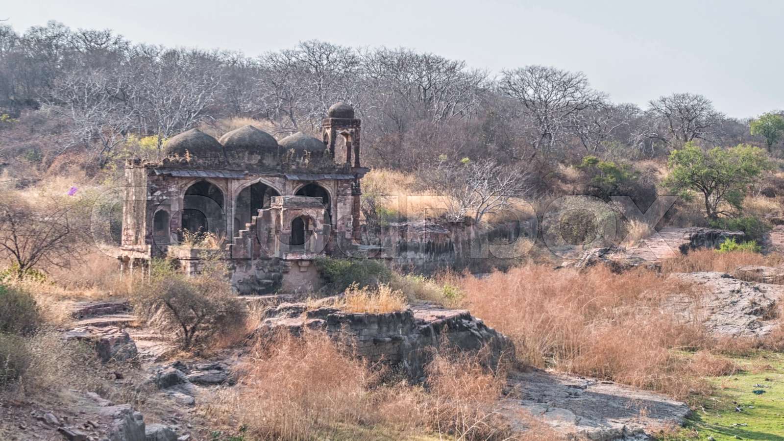 Temple ruins, Ranthambore Fort, Ranthambore National Park, Rajasthan ...
