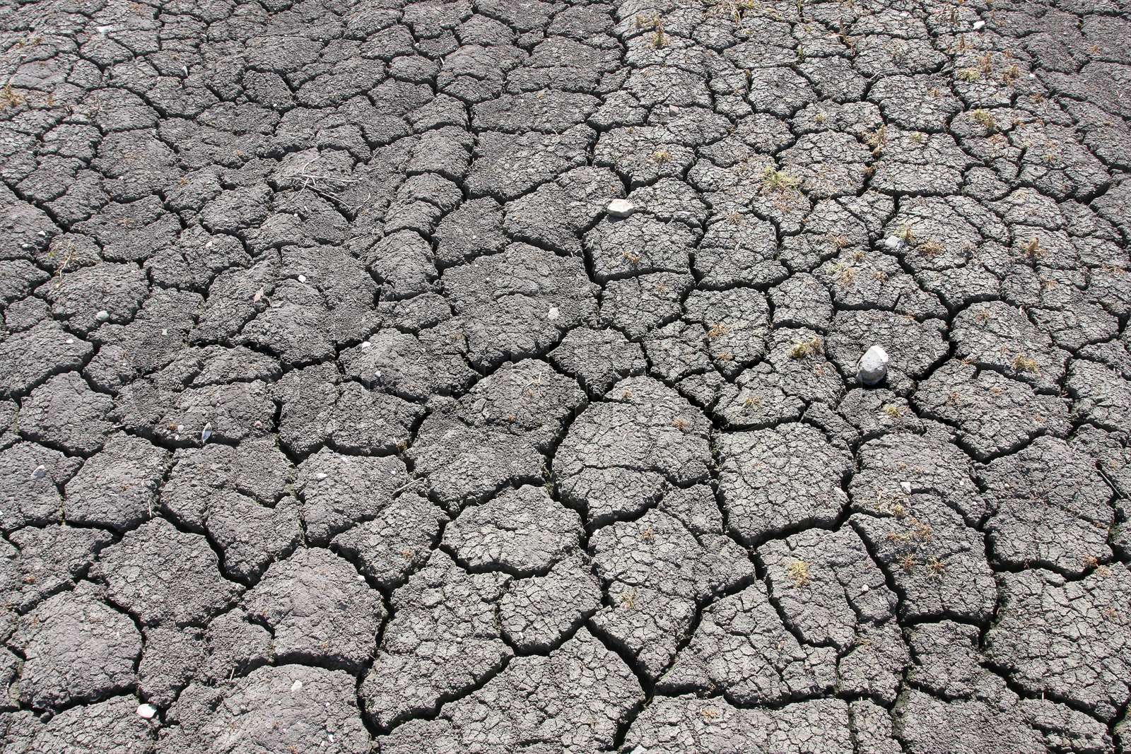 Dried earth | Stock image | Colourbox
