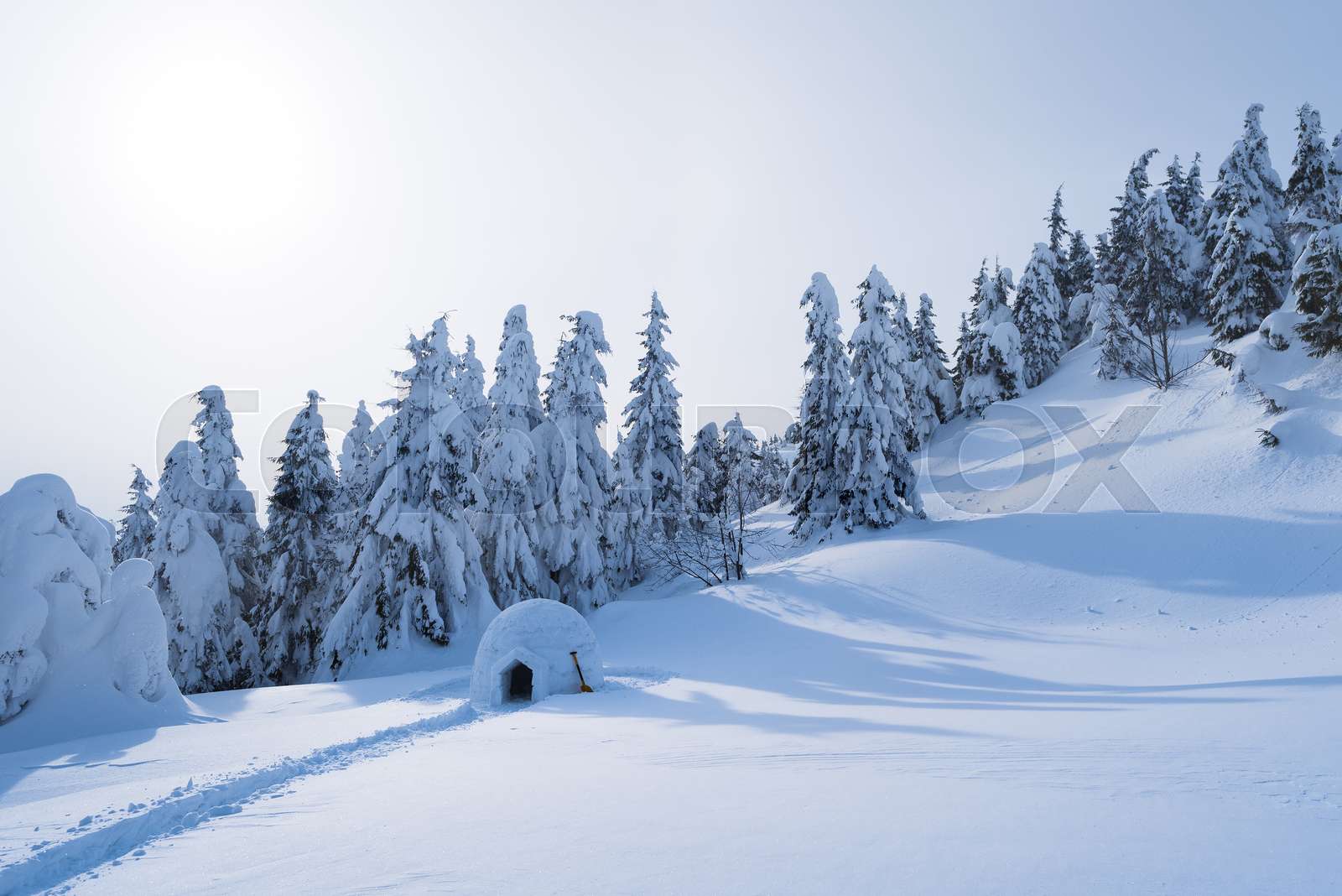 Winter landscape with a snow igloo | Stock image | Colourbox