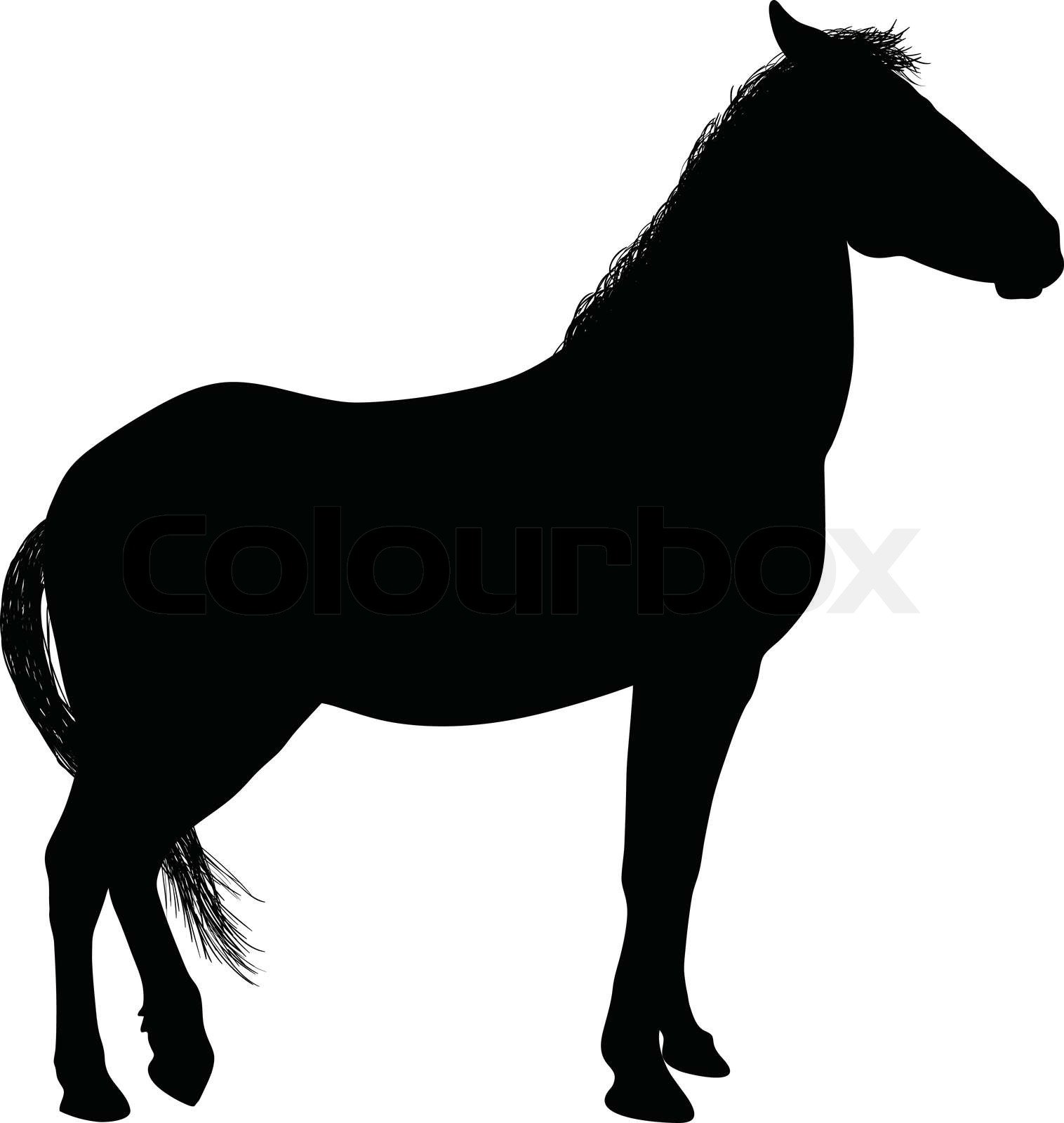 Pferd-silhouette | Stock-Vektor | Colourbox