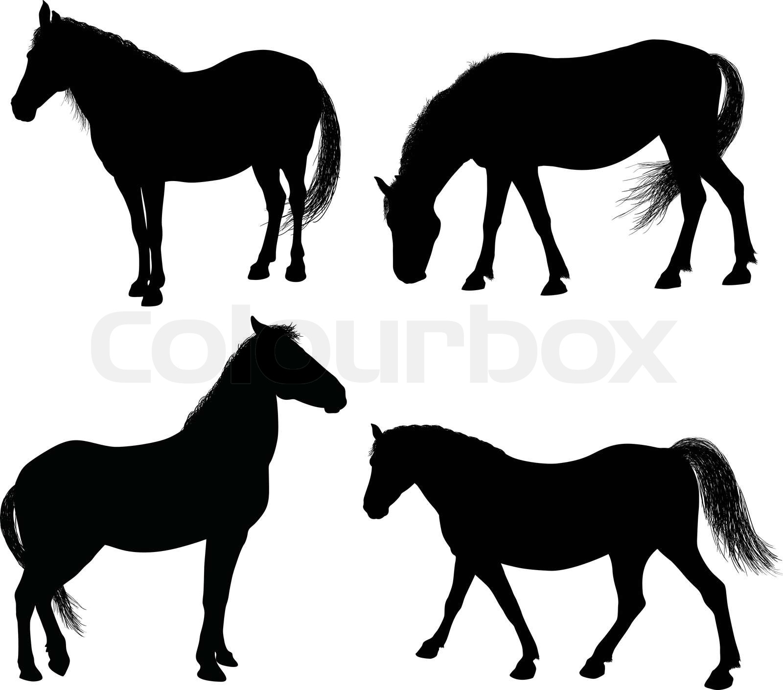 Detailed horse silhouettes collection 7000x6329 | Stock vector | Colourbox