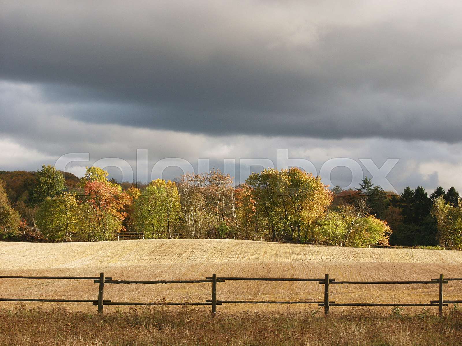 rural denmark | Stock image | Colourbox