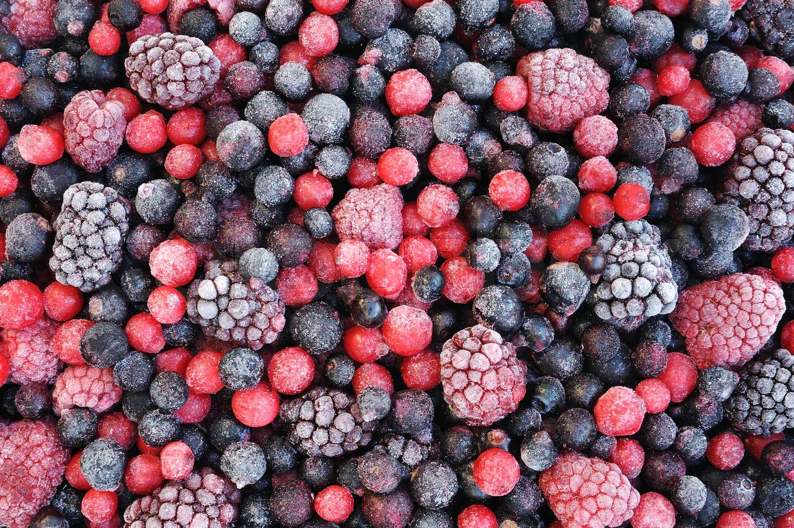 Close up of frozen mixed fruit - berries - red currant, cranberry ...