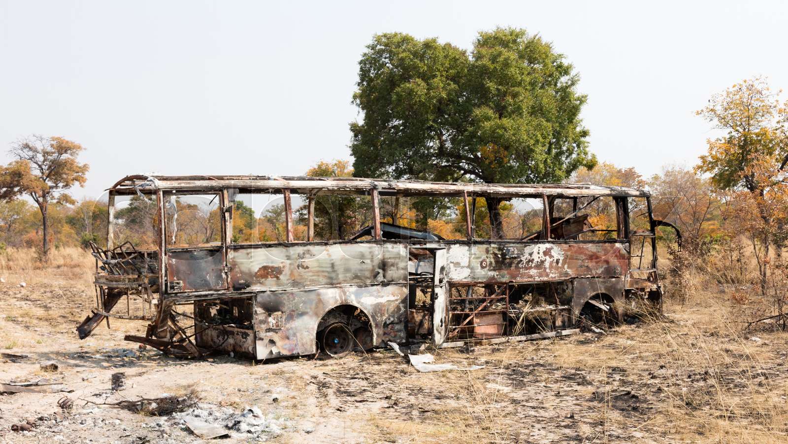 Burned bus at the side of the road | Stock image | Colourbox