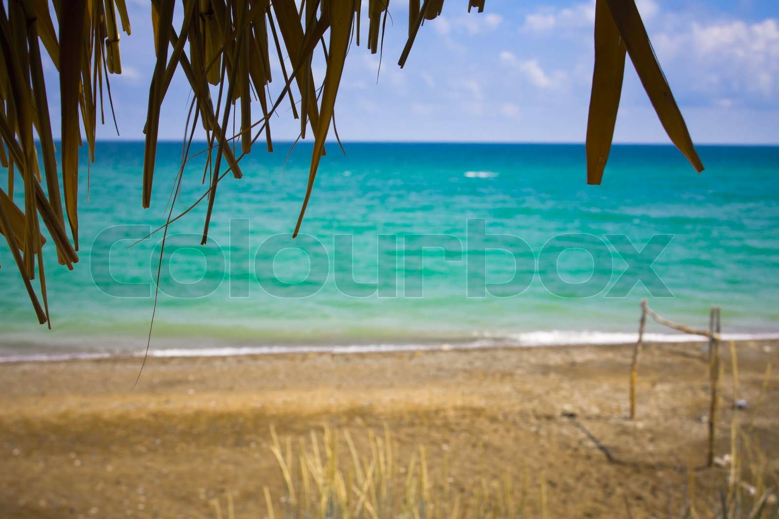 beach in the resort town, Ukraine | Stock image | Colourbox