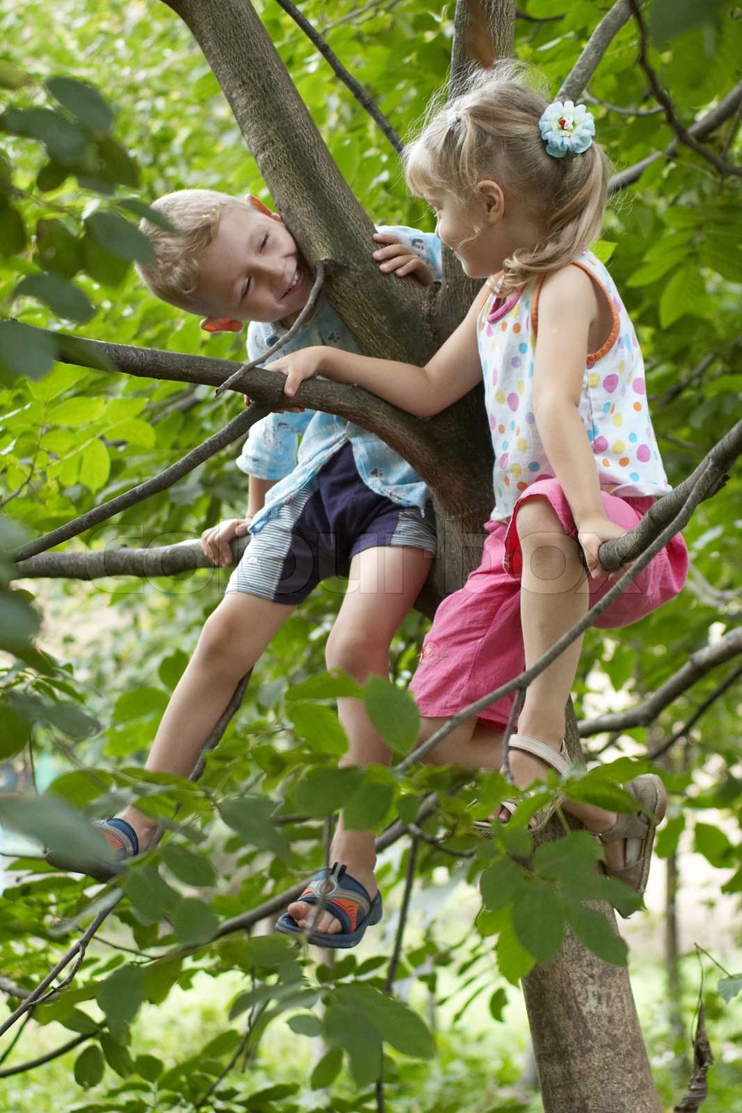 Children sitting on a branch | Stock image | Colourbox