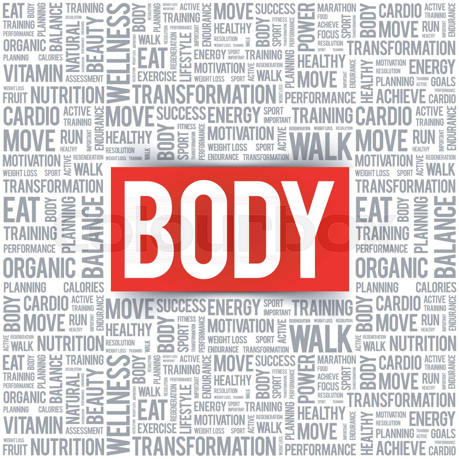 BODY word cloud collage | Stock vector | Colourbox