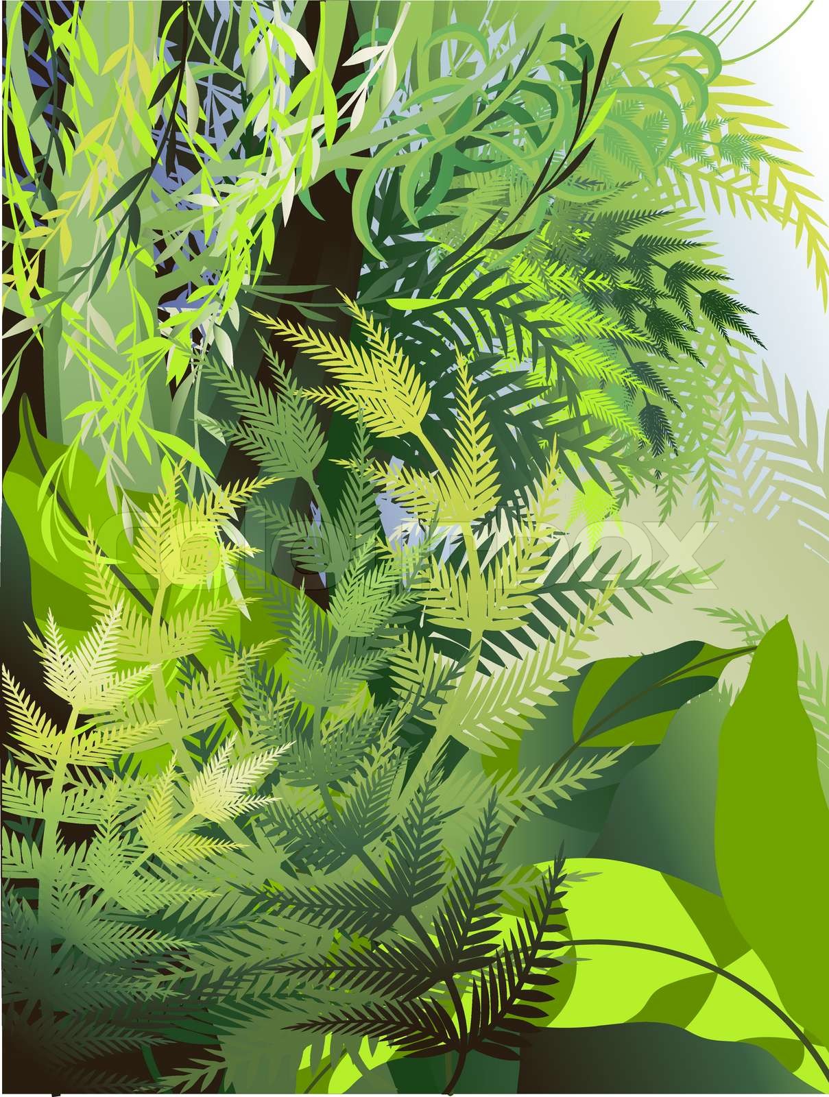 Dense thickets of ferns and vines in the jungle | Stock vector | Colourbox