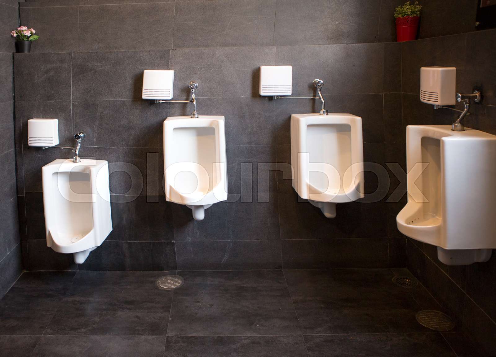 clean urinals men in gas station toilet | Stock image | Colourbox