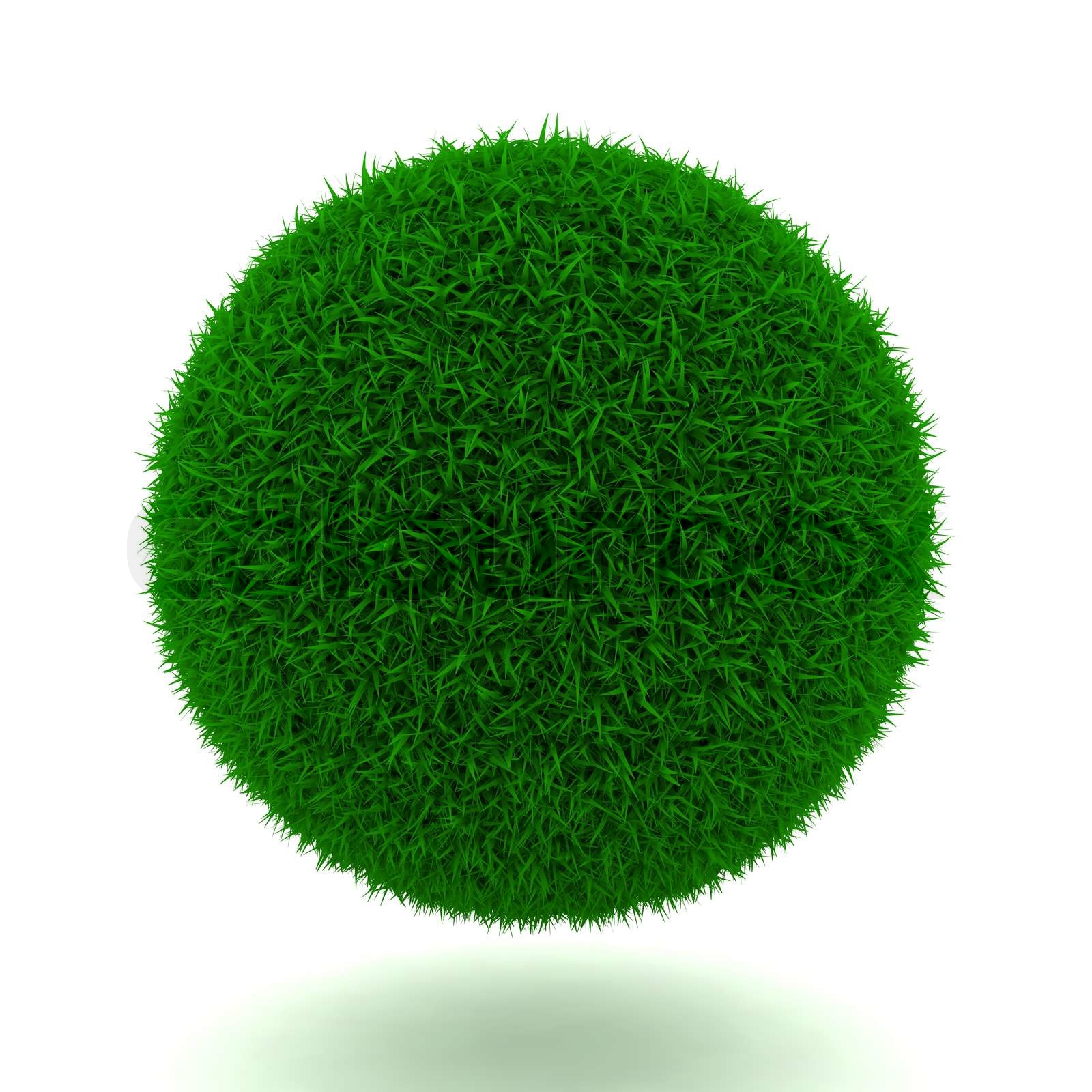 Beautiful Sphere from Grass Isolated on White | Stock image | Colourbox