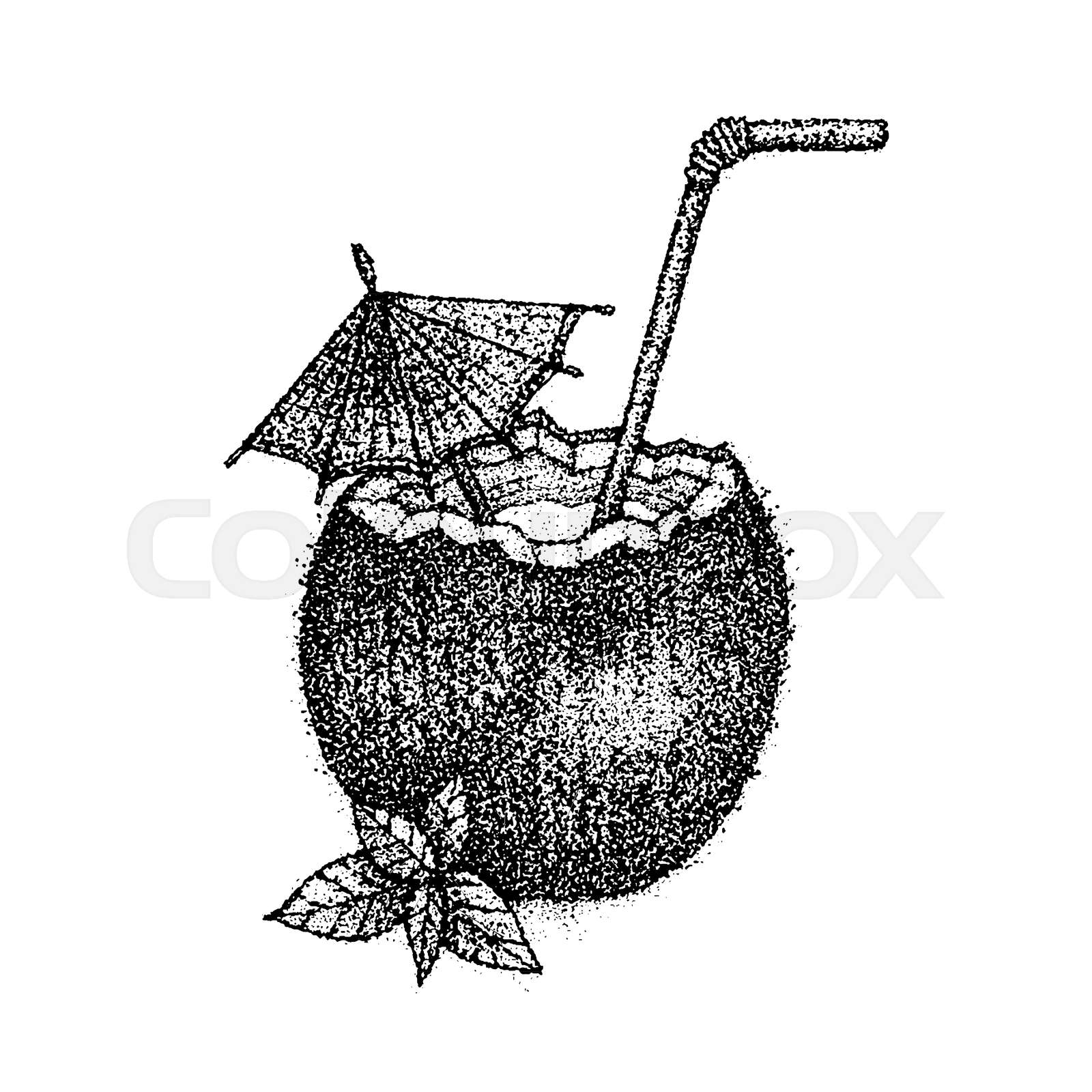 Coconut Drink Drawing