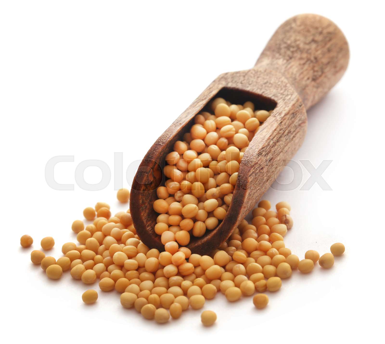 Golden Mustard | Stock image | Colourbox