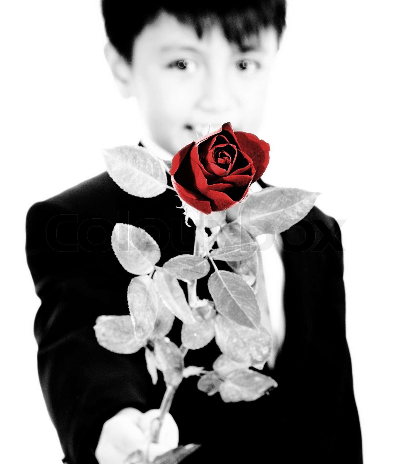 Boy Holding Up A Red Rose For A Girl | Stock image | Colourbox