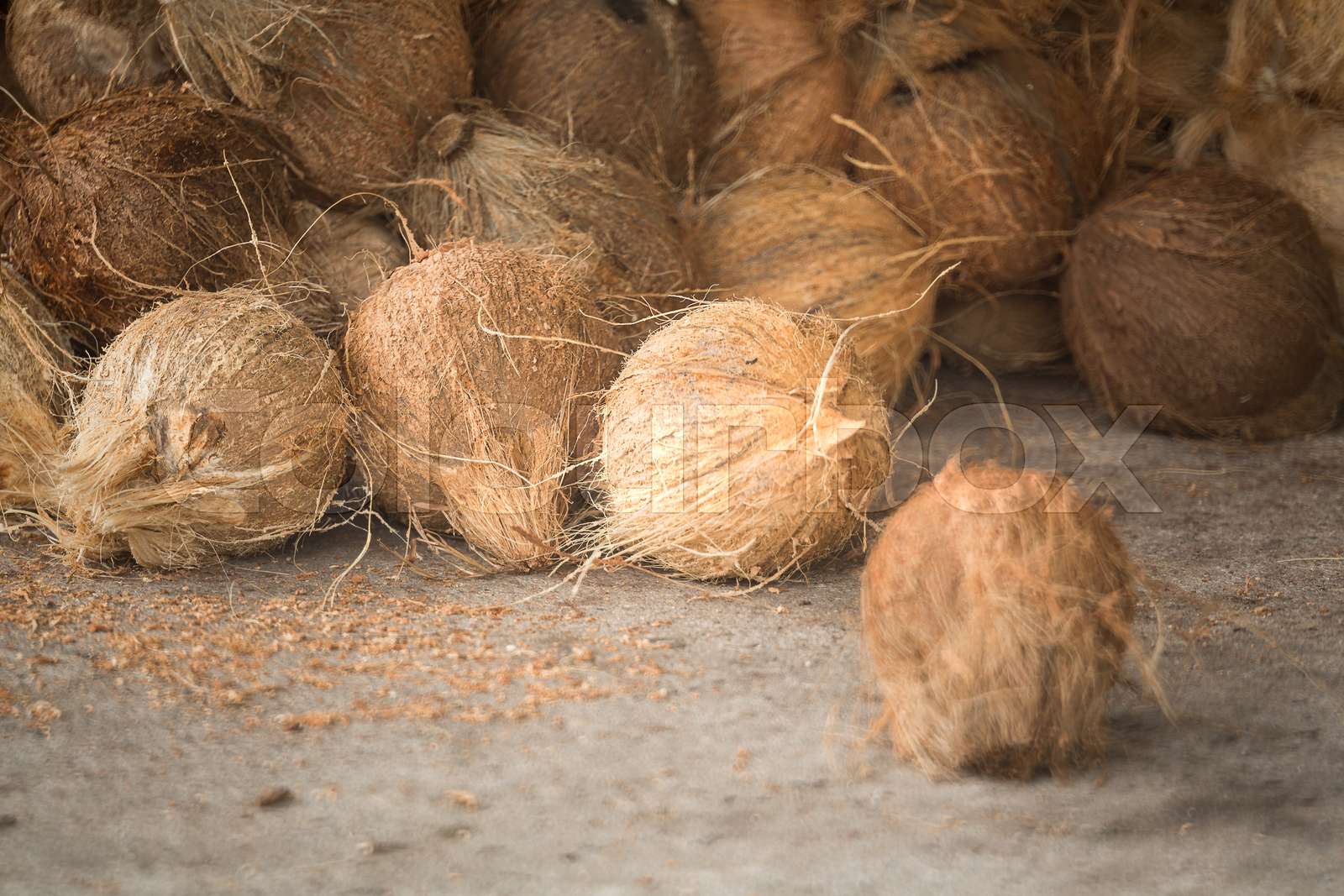 Coconut shells are placed on the floor. | Stock image | Colourbox