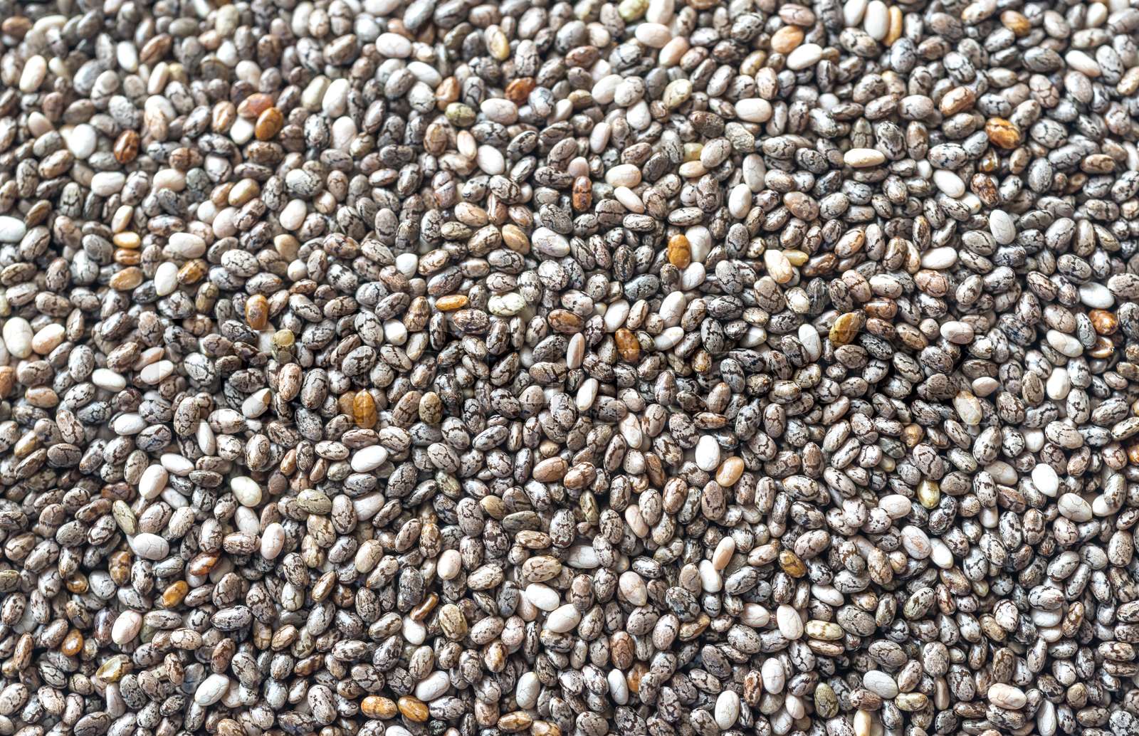 Chia seeds: top view | Stock image | Colourbox